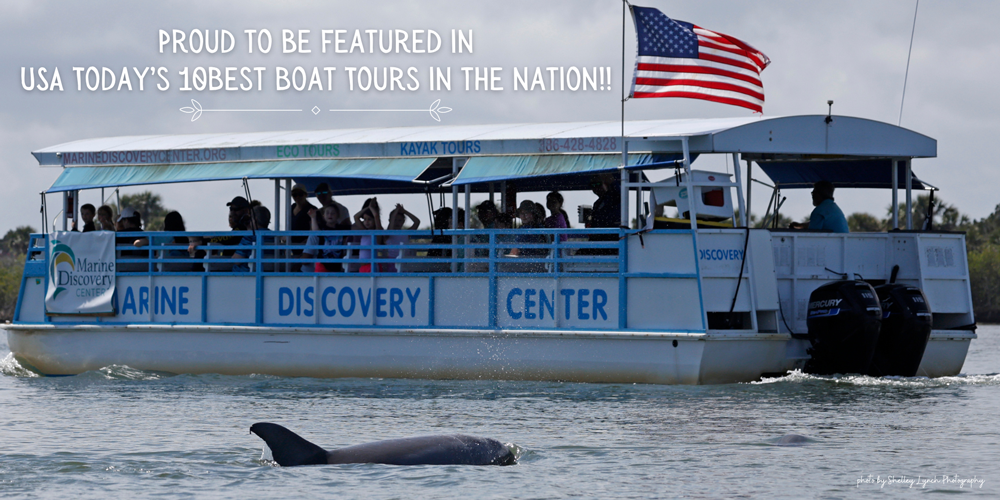 Marine Discovery Center boat tour | Space Coast Region of PCA